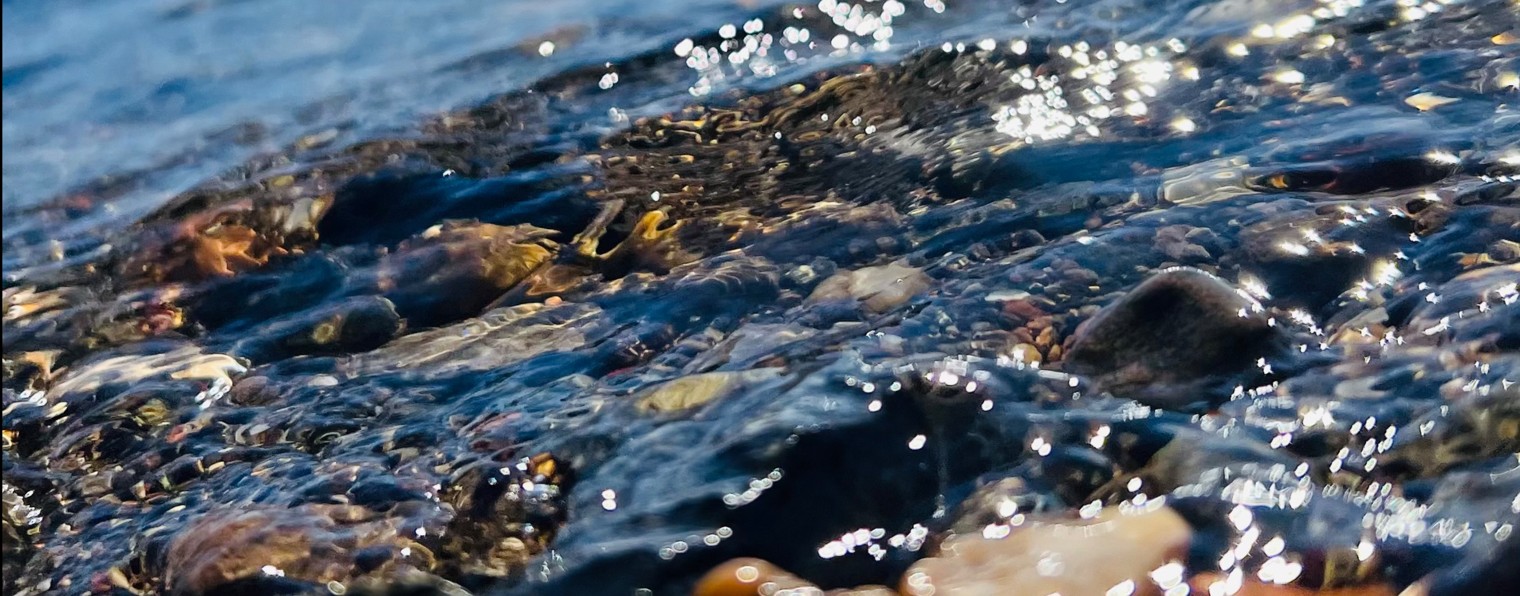 Аквариумные будни