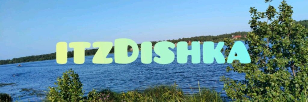 itzDishka
