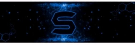 S A Y L Ξ S