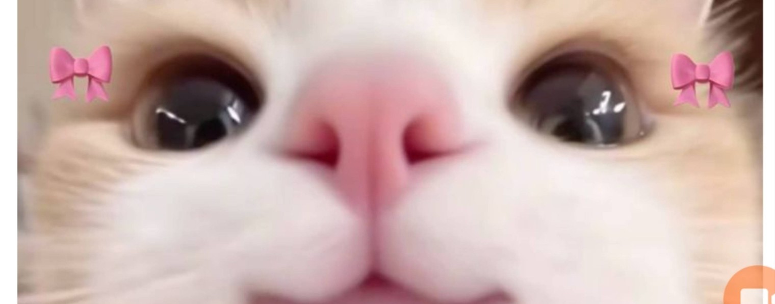 Тоня lait и Басики