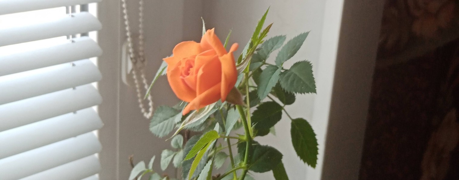 Обо всем и не о чем,  ну и еще немножко