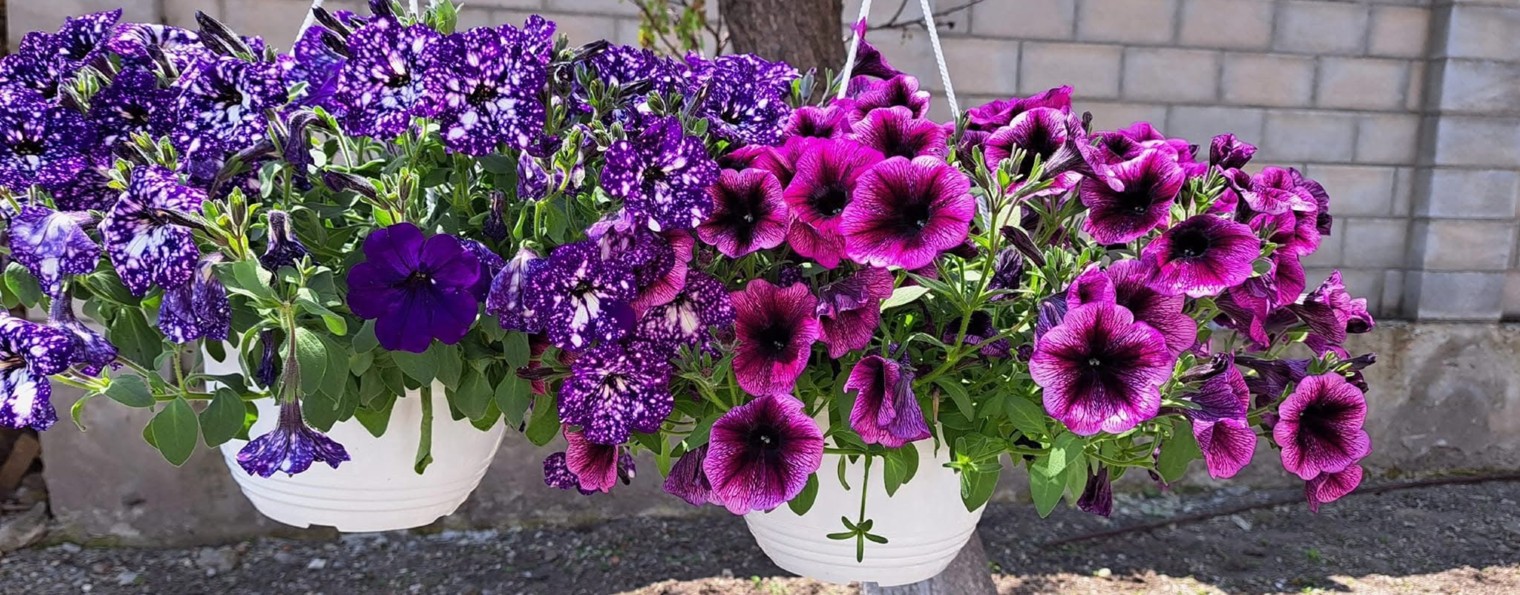 Домашний уют с Татьяной