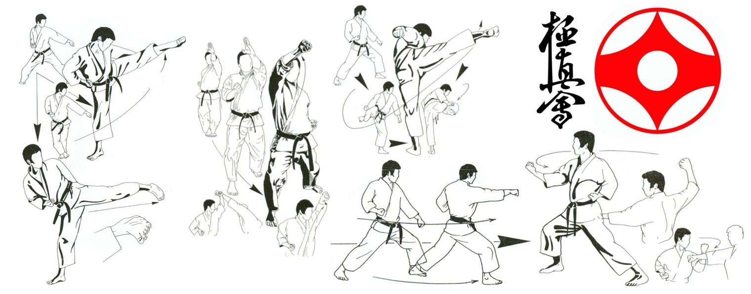 Карате Кёкусинкай - Путевые заметки