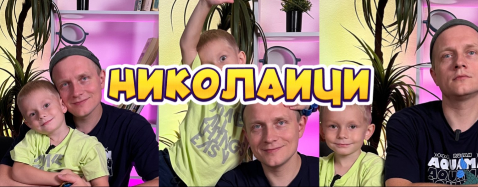 Николаичи