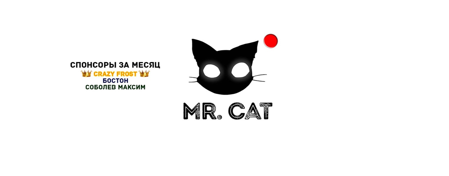 Mr. Cat