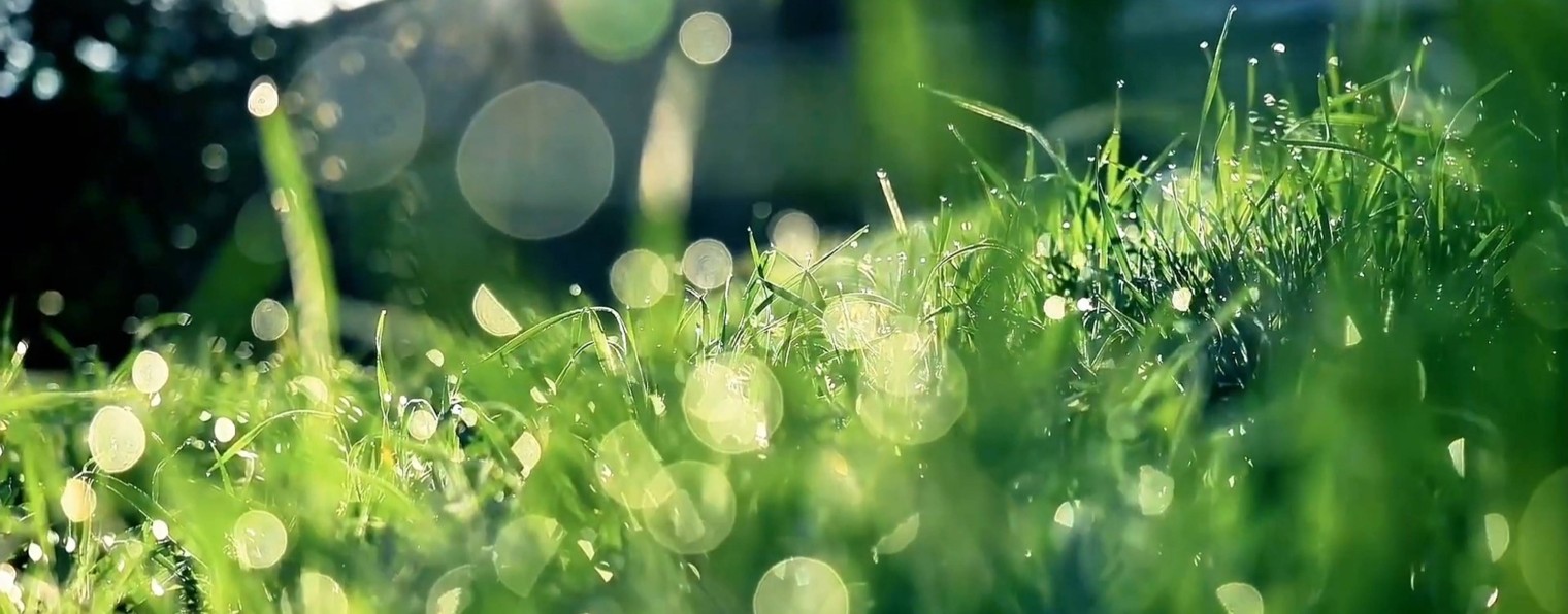 Наталья Потапова