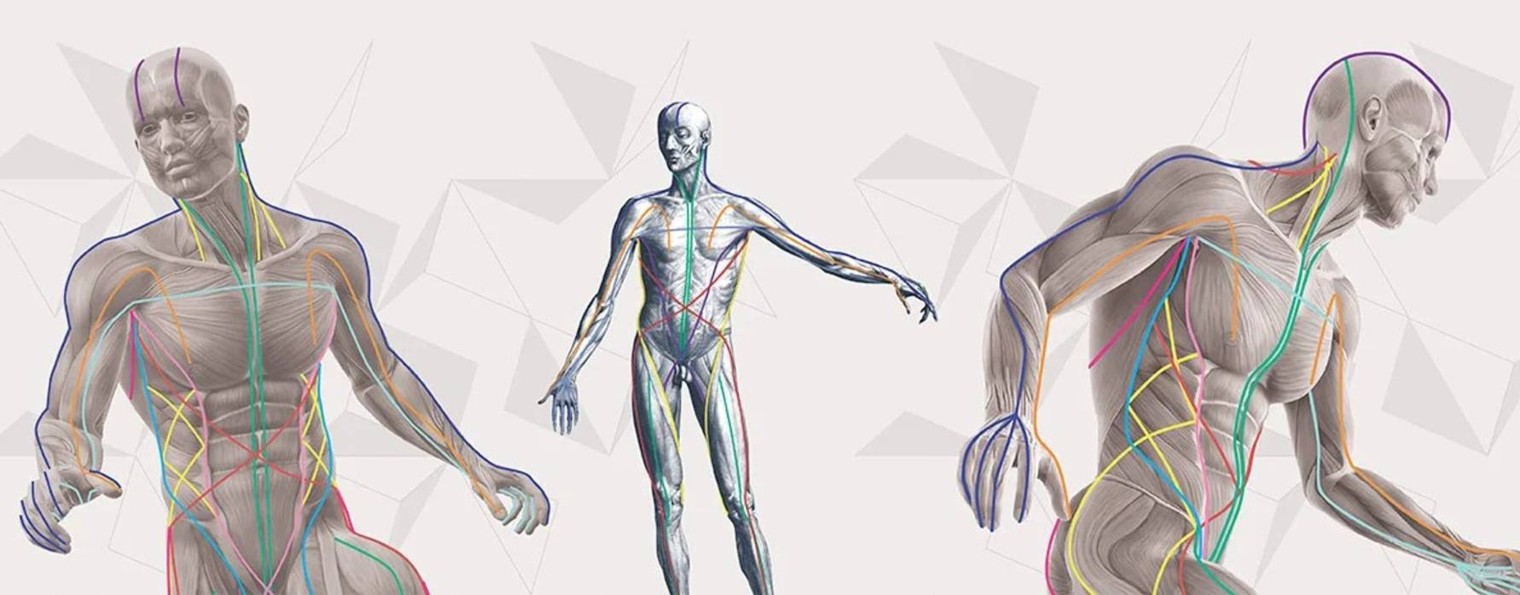 Школа движения Андрея Маркова