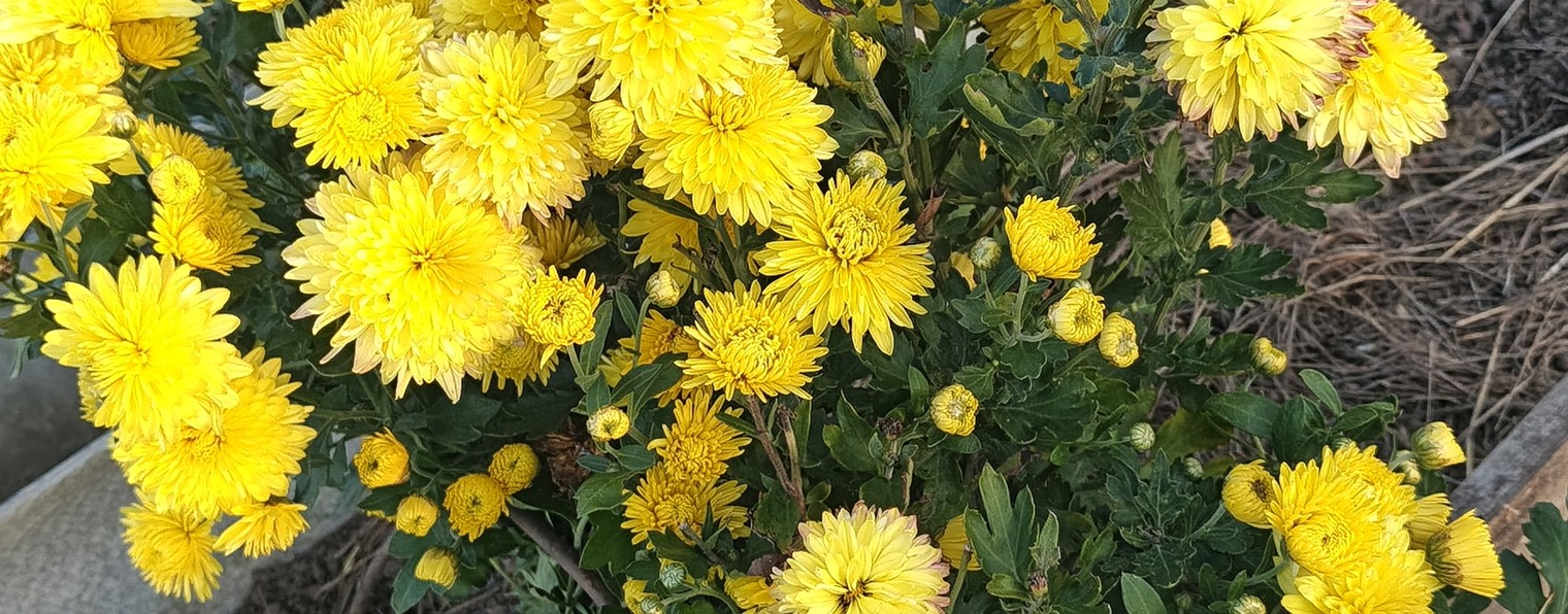 Для души 🎼монтаж видео-роликов📽Ольга ОК