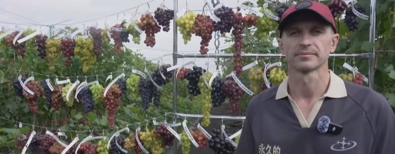 Артём Мозговой