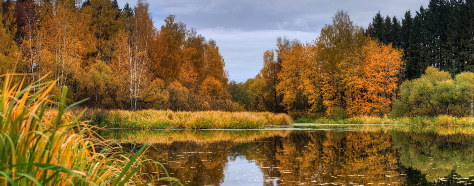 Сергей Черных