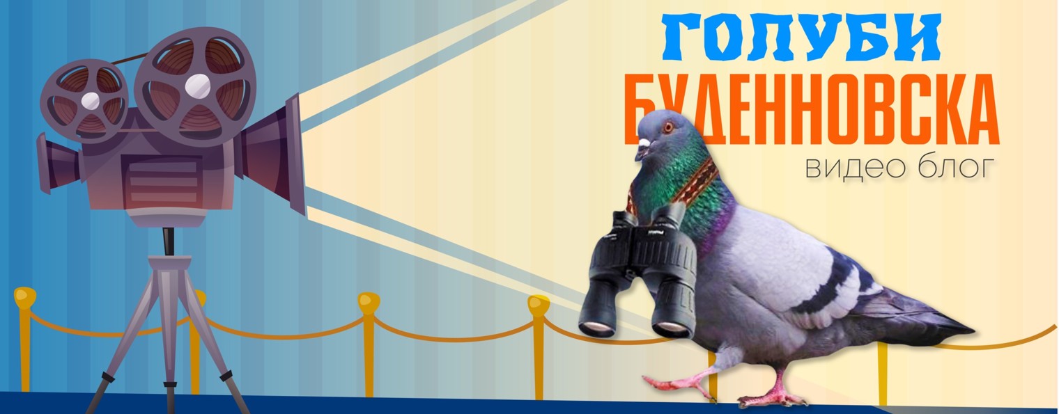 Голуби Будённовска