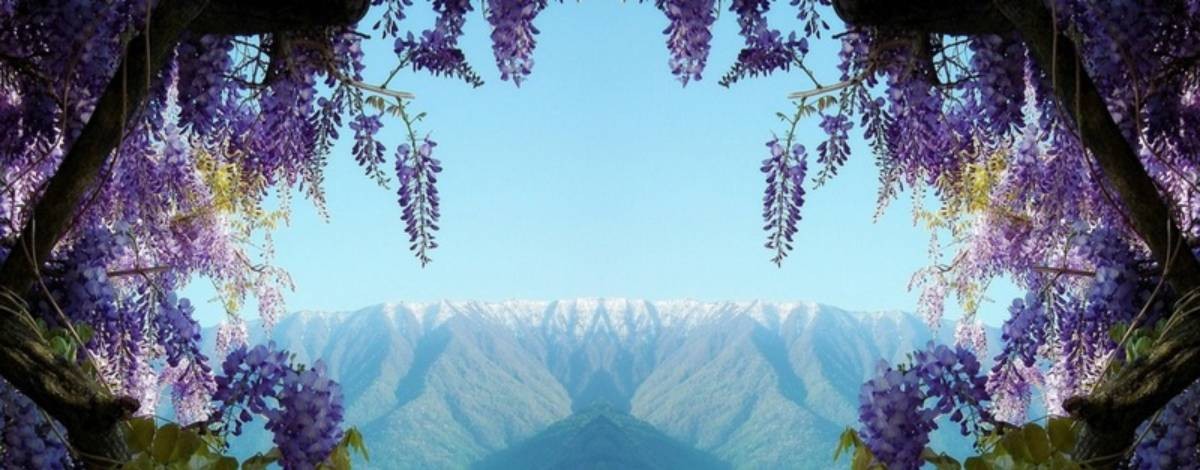 Радмила Милова