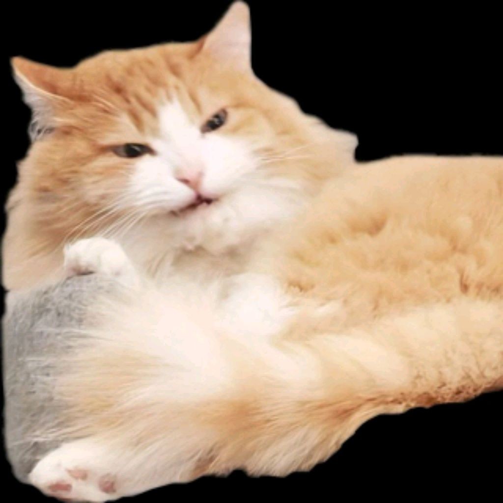 Роял Конин Games