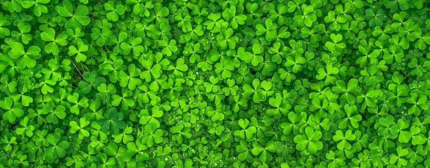 АйсСнайперУдачи