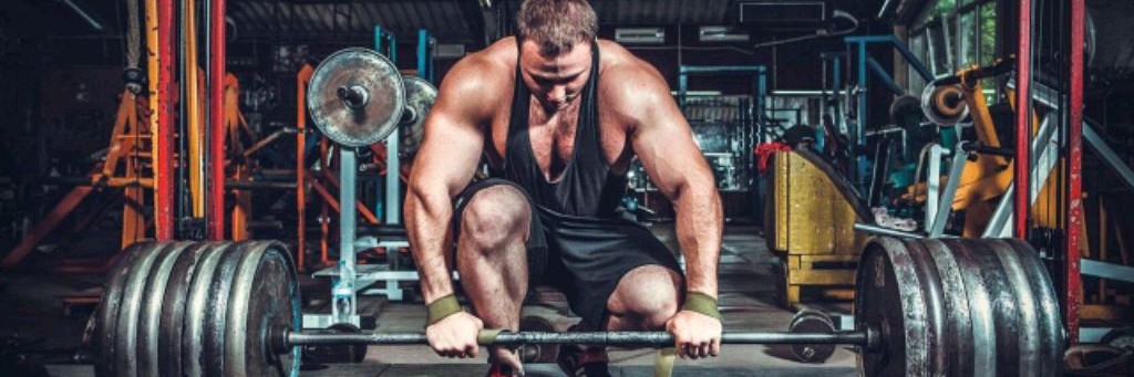 Дневник тренировок Сергей Демченко Пауэрспорт.