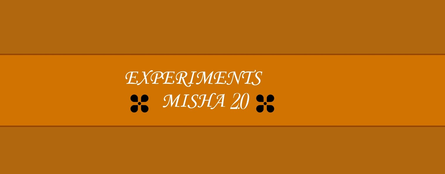 Experiments Mishy  2.0 ⚠️