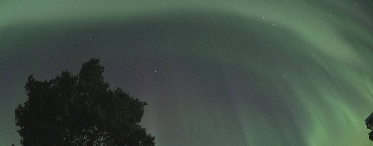 ЧердакЛапс