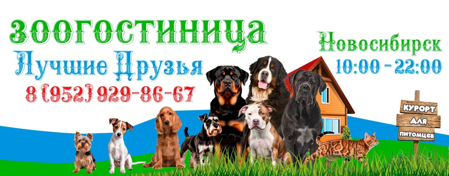 Zoohotel_Best_Friends