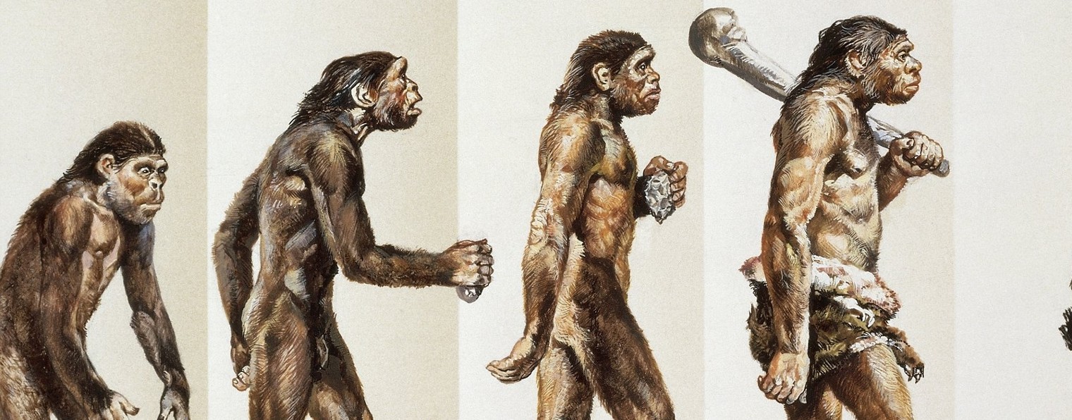 UFC MMA BOXING | sports_generator