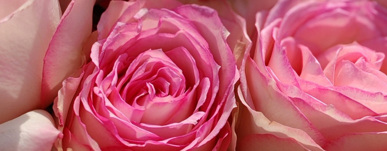 Я и моя жизнь