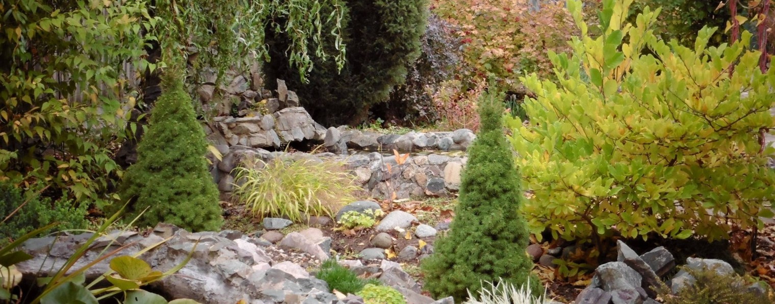 Сад декоративных растений