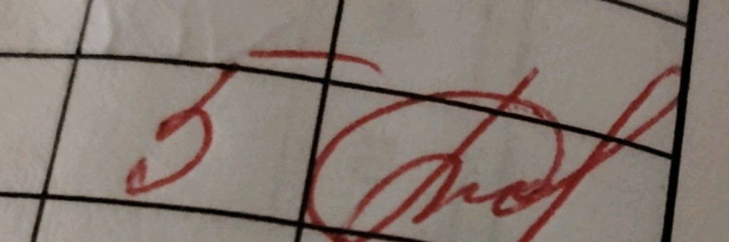 Улыбка Северного Медведя