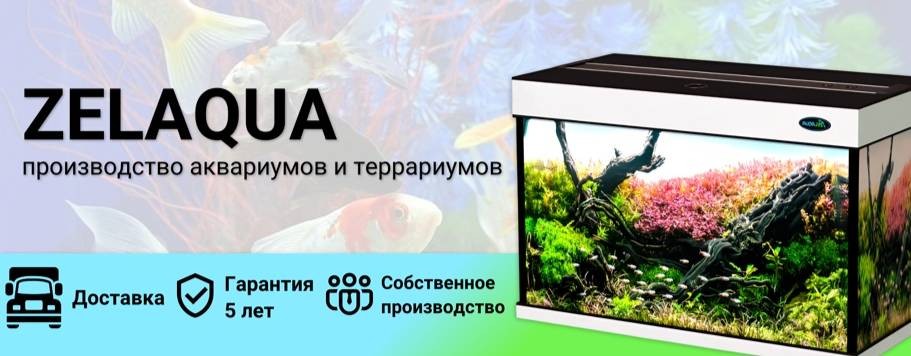 ZelAqua - производство аквариумов и террариум