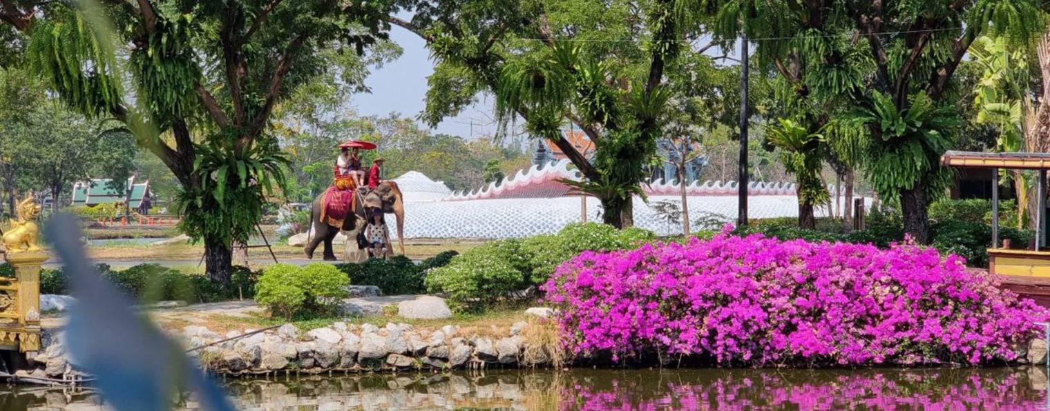 smart  tour & property