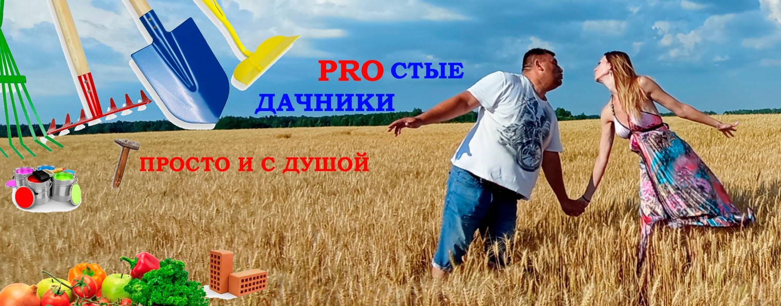 Простые дачники