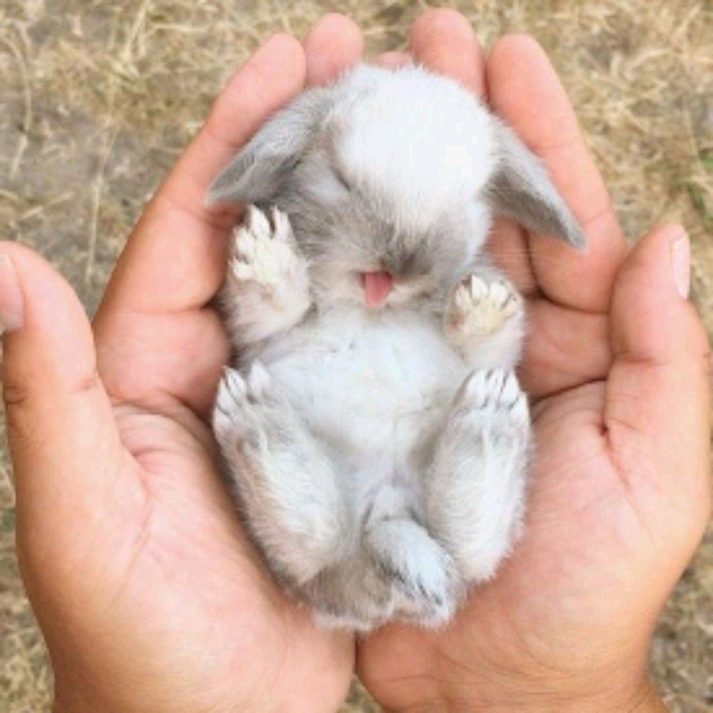 🪷🫶🏻АвАтАр_ДеВоЧкА🫶🏻🪷 🌼❤️🔥Миланочка❤️🔥🌼