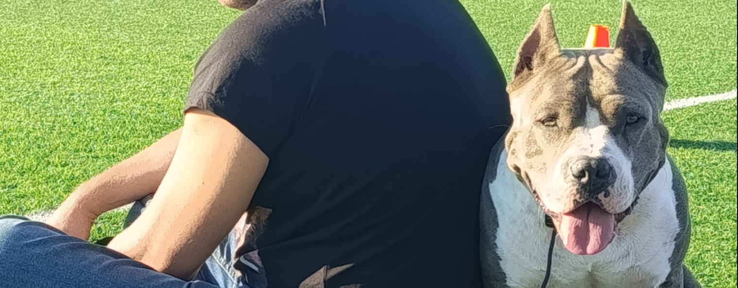 АМСТАФФЫ. "ГОЛУБОЙ БРИЛЛИАНТ УСАДЬБЫ КАПИТАНЩИНО"