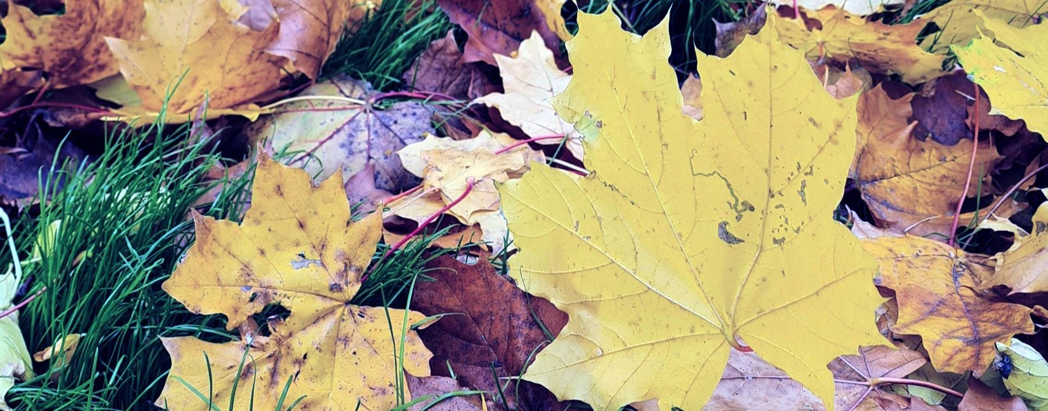 Сергей Варламов | Фотограф любитель