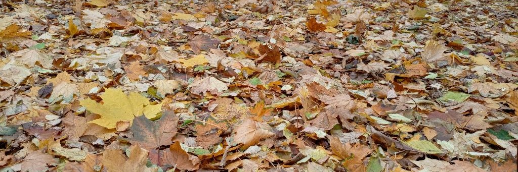 СПОРТИВНЫЙ ЛАКИНСК