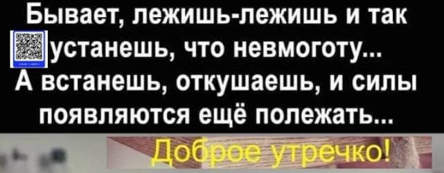 🦉Николаич 🏇 🇷🇺 (@ZVN🎠)