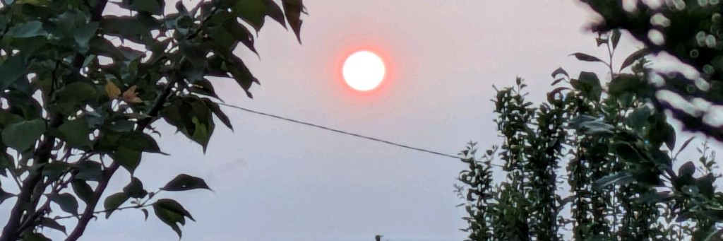 Гая и Самый Лучший.Жизнь в деревне