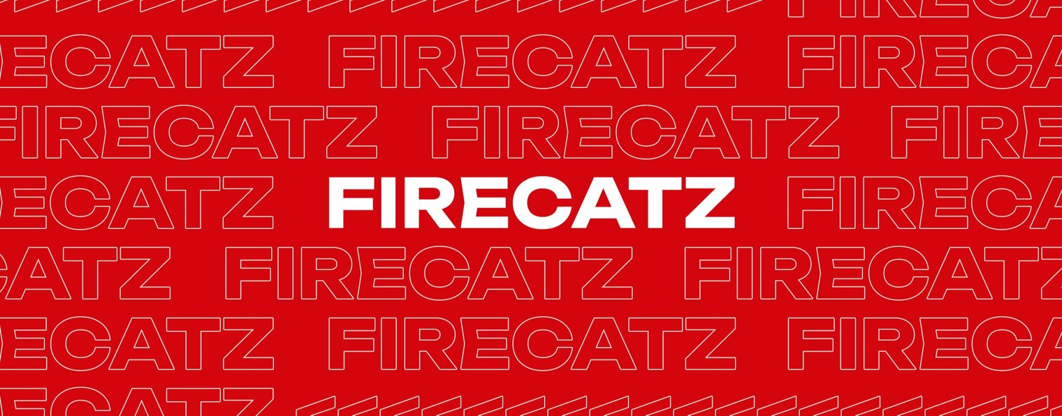 FIRECATZ в WARFRAME и где то еще