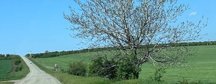 Юлькины сотки