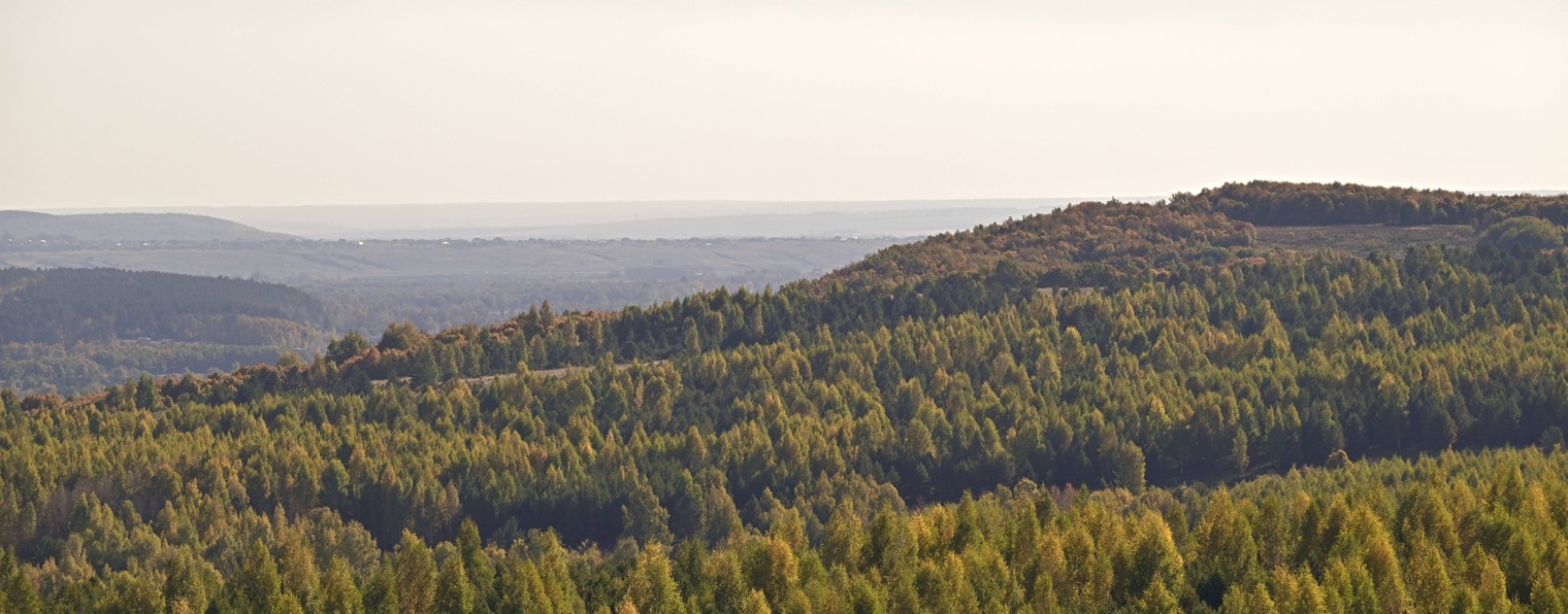 Александр Аутдор