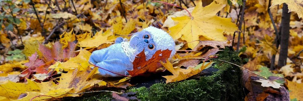 🧡Котики_басикиТВ🧡