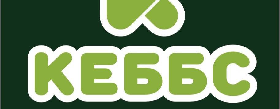 KEBBS ACTIVITY (КЕББС АКТИВИТИ)