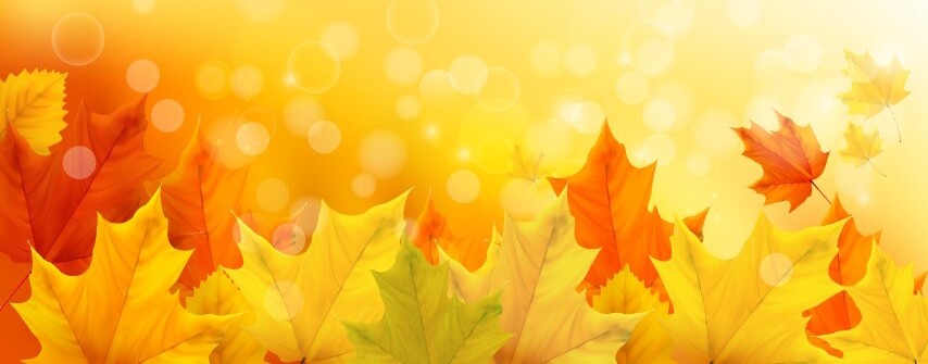 Винкс,Леди Баг и Супер-Кот