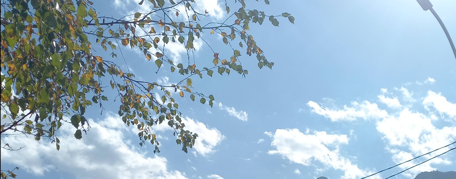 Гармония через йогу