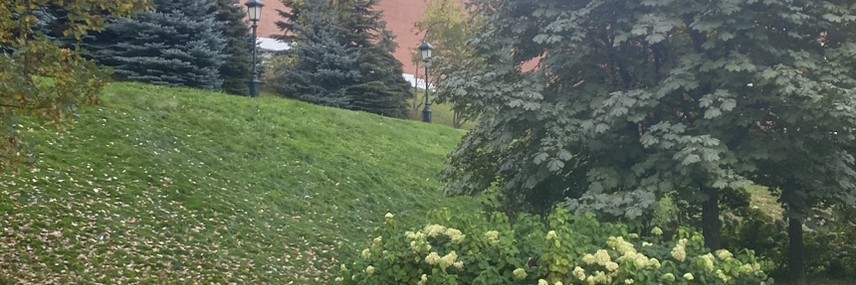 Ниндзя Снежок