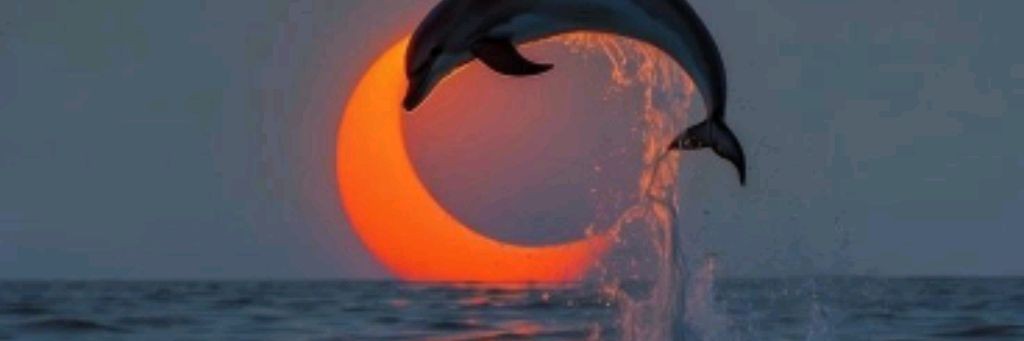 Тока Бока + Роблакс