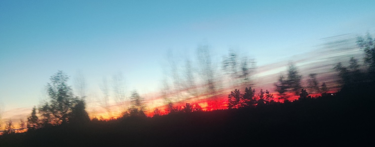 Просто наша семья Life