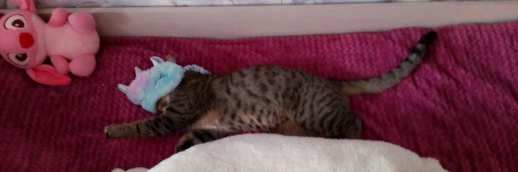 🐰злата и камила