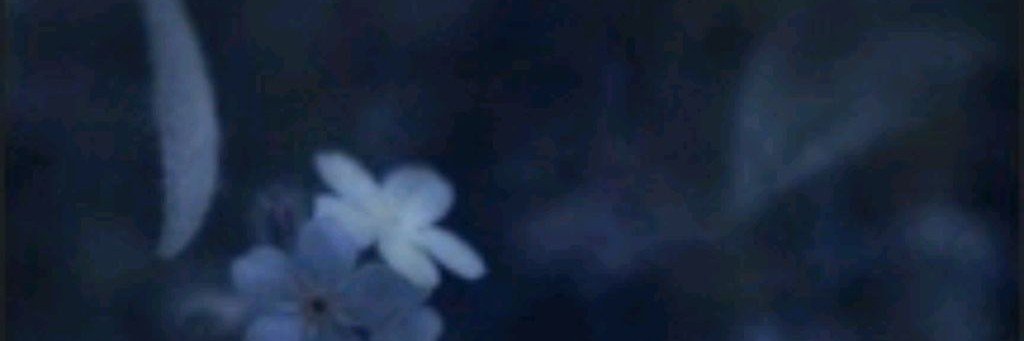 𝐓𝐞𝐬𝐬𝐚_𝐬𝐭𝐨𝐫𝐲 💦