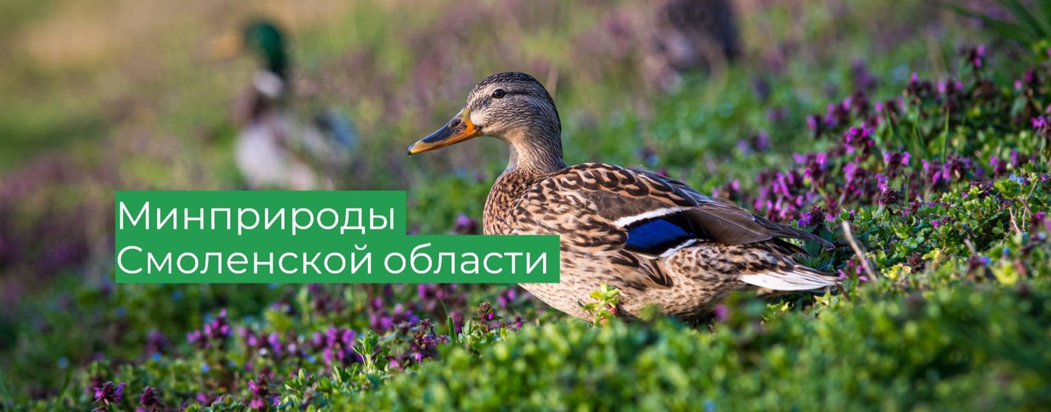 Минприроды Смоленской области