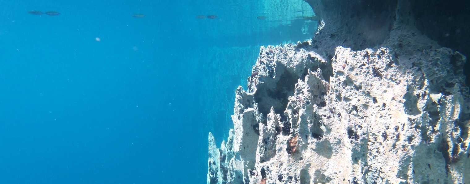 Манта фридайвинг