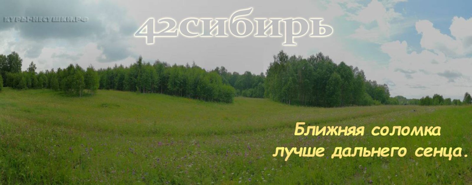 42сибирь